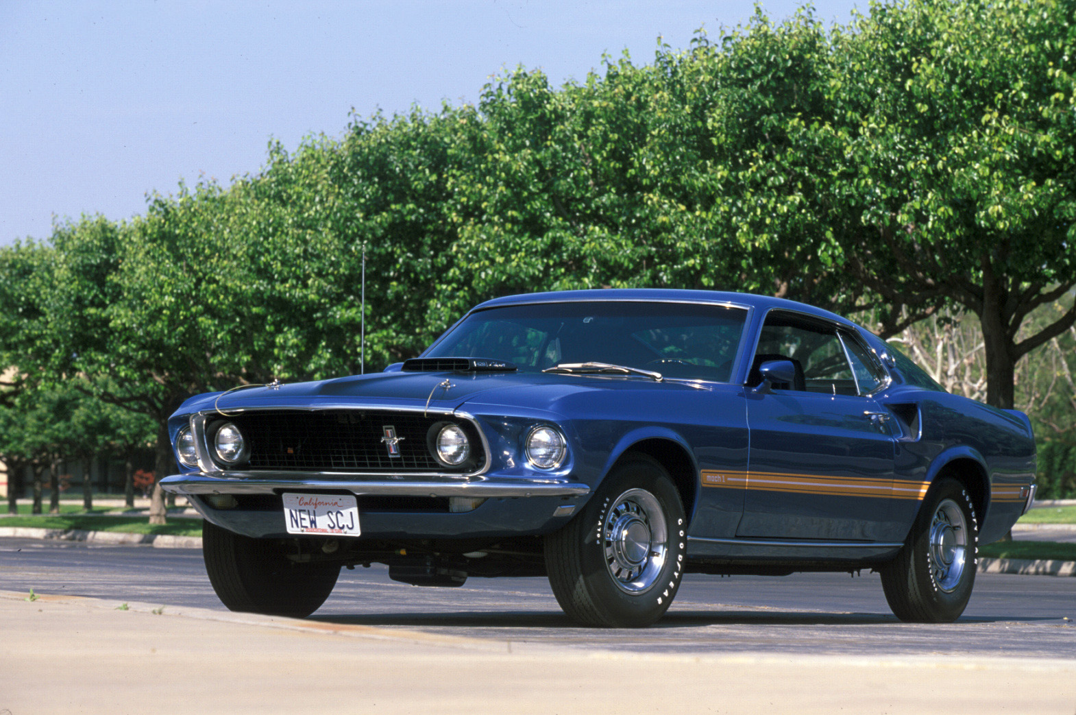 1969 Mach 1 428 SCJ Ford Mustang Photo Gallery Shnack 1969 Mach 1 428 SCJ Ford Mustang Photo Gallery Shnack